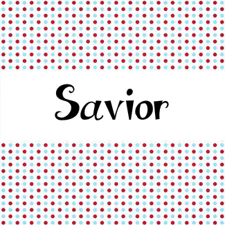 worthyoftheprize.com: 25 Names of Jesus: {Day 21} Savior