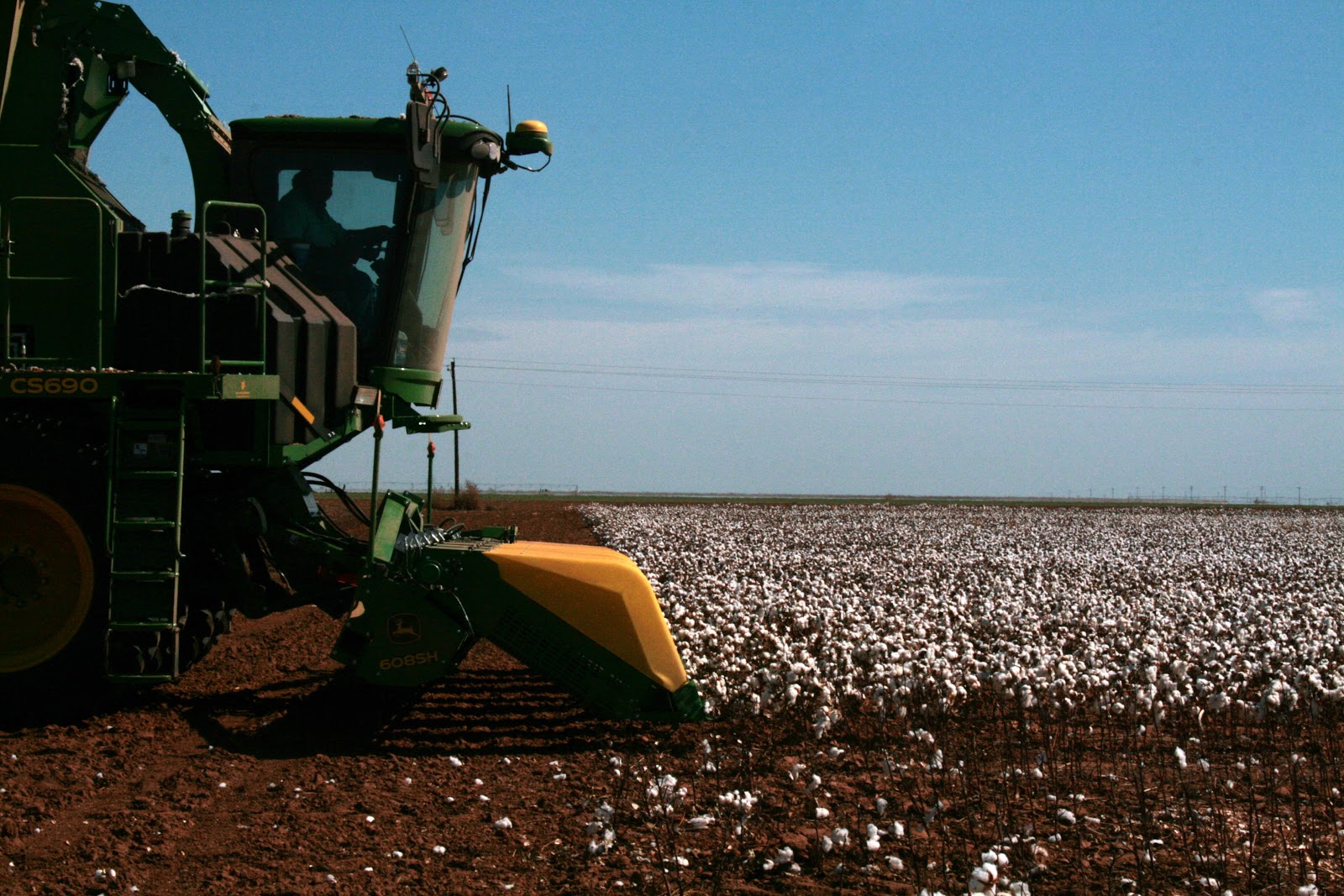 Kacake's Takes: Cotton Stripper