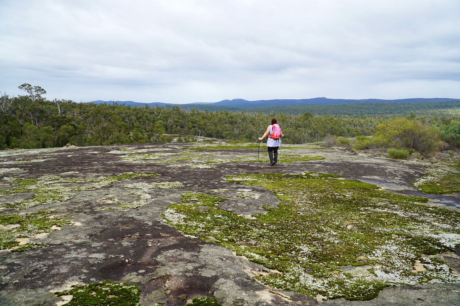 Abyssinia Rock Walk GPS Route (Jarrahdale State Forest) ~ The Long Way ...