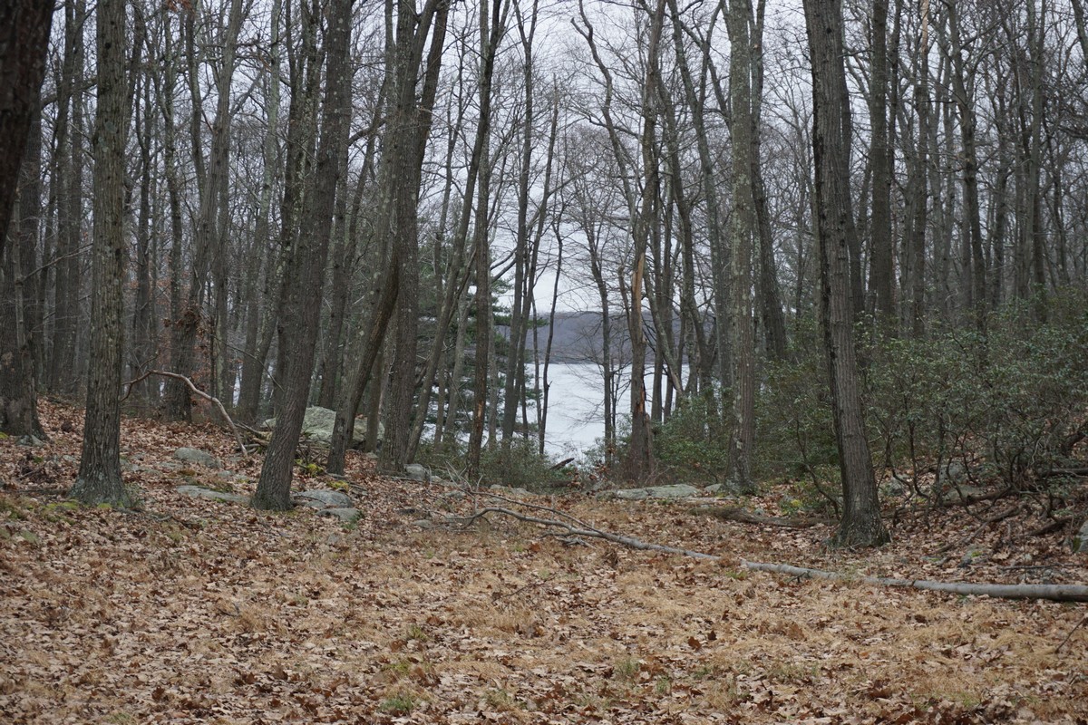 Harriman Hiker: Harriman State Park and Beyond: Pine Swamp Mountain to ...