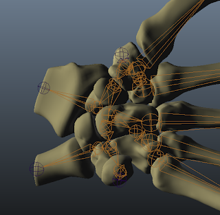 Anatamation: where Anatomy meets Animation: Types of Hand Rigs