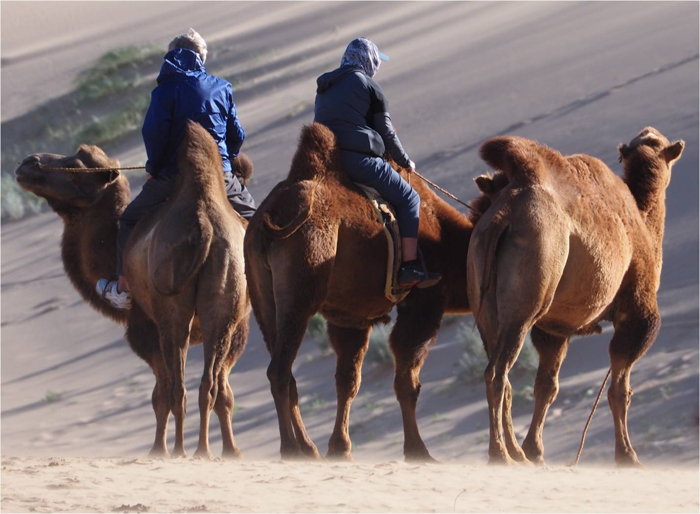 MONGOLIË: MET DE 4X4 DOOR DE GOBI WOESTIJN (1): VAN ULAANBAATAR NAAR ...