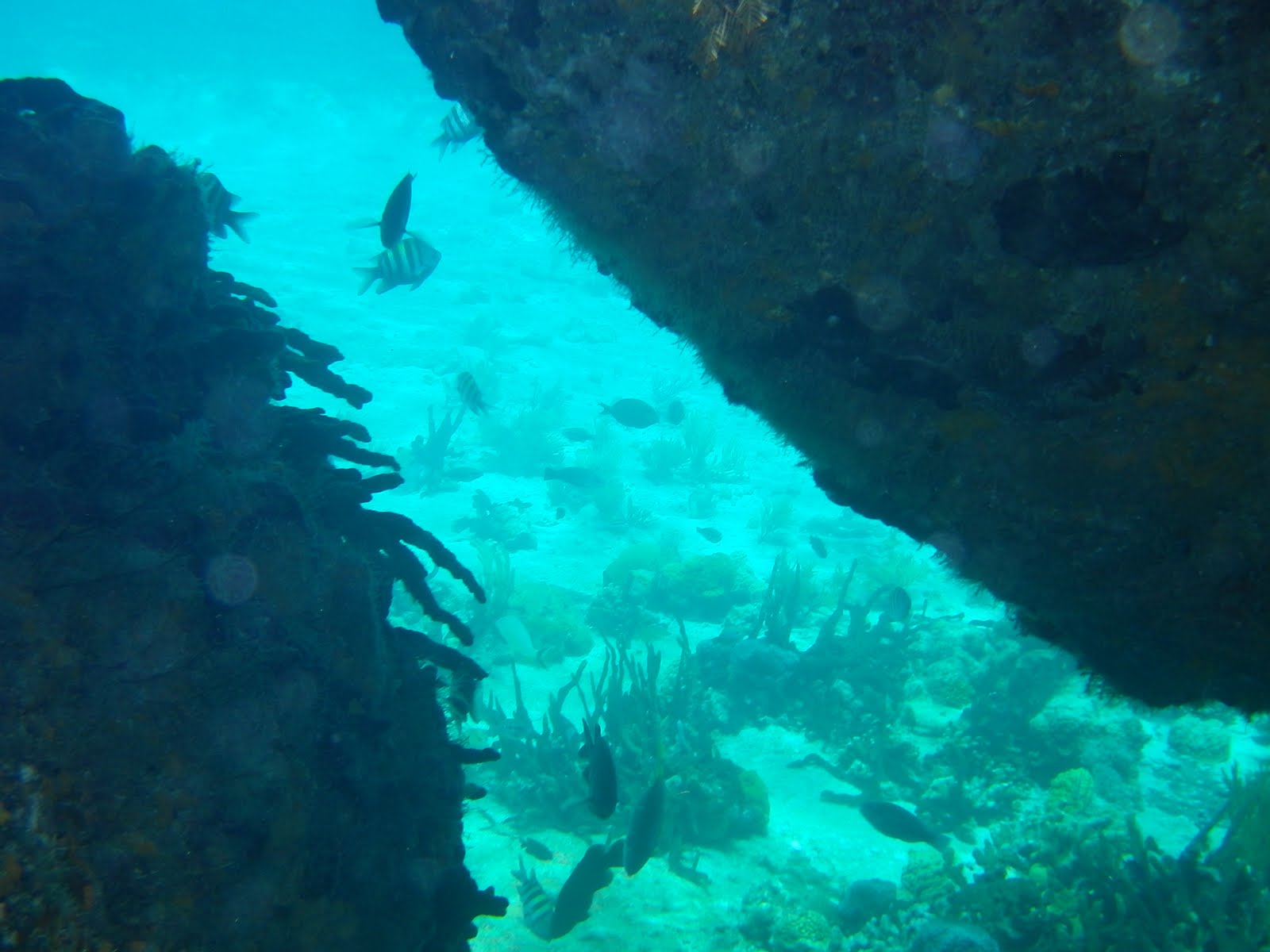 S/V WAHOO: Cruising the Exuma Chain