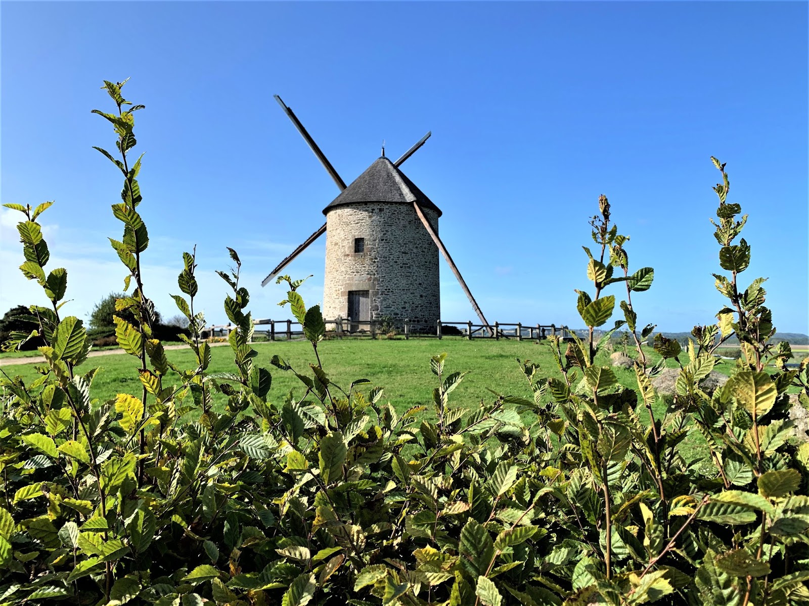 Travels and Discoveries