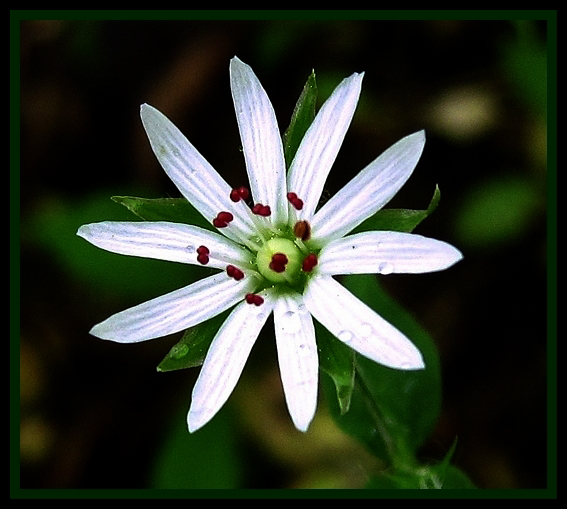 EARTH AND HER SPECIAL PLACES: 38 Some SACRED GEOMETRY (11)