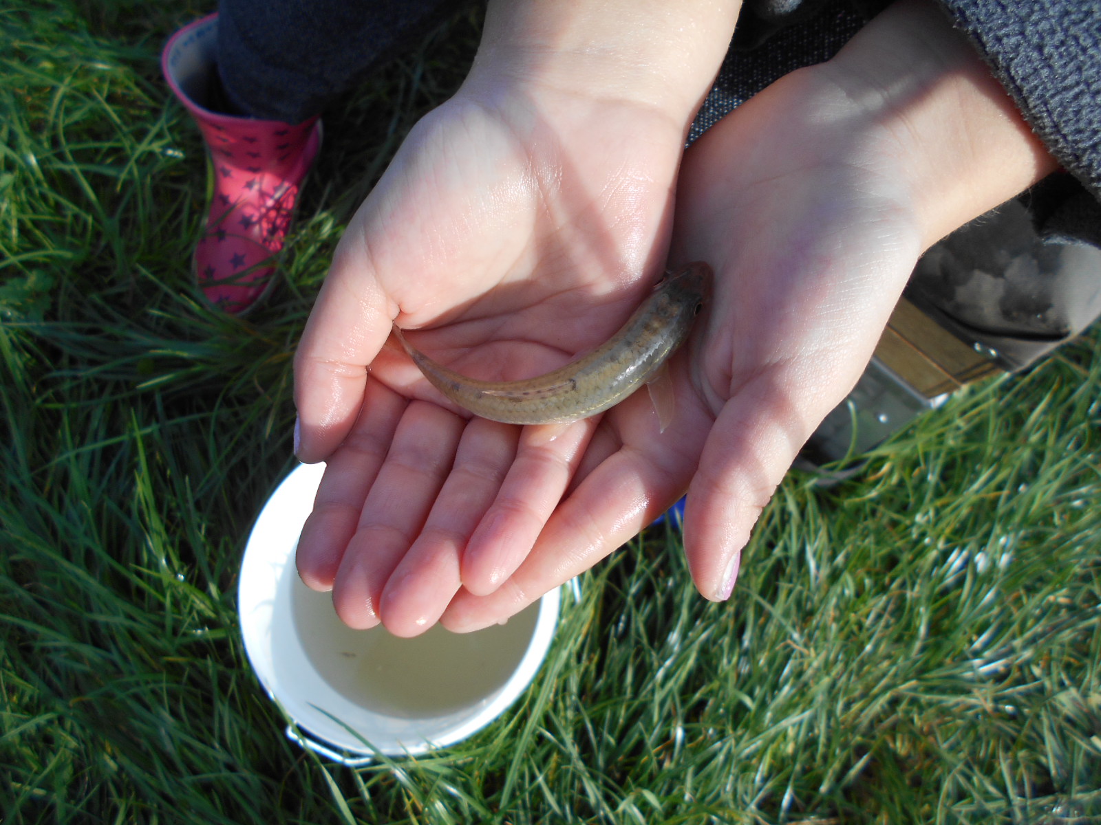 "La Bouvière": 2019