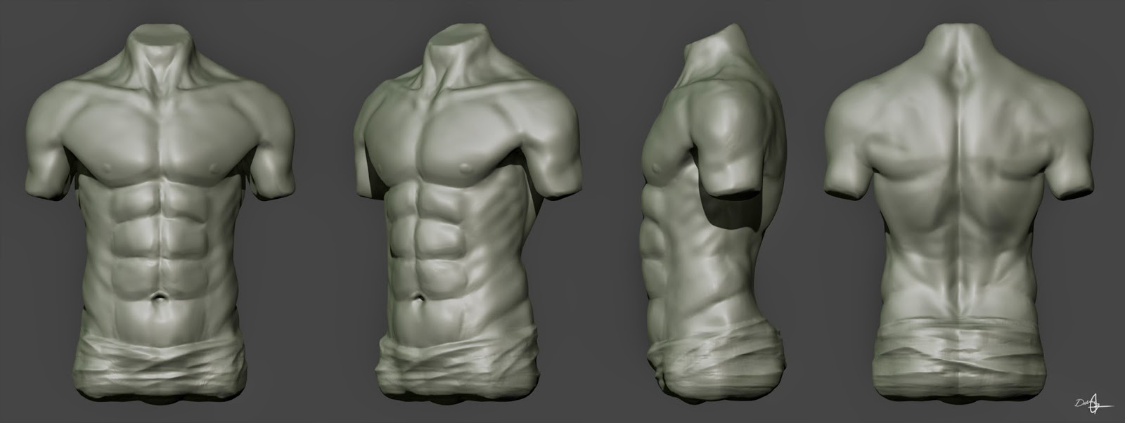 2D and 3D, an art blog by Dave McCarty: Human Anatomy Development