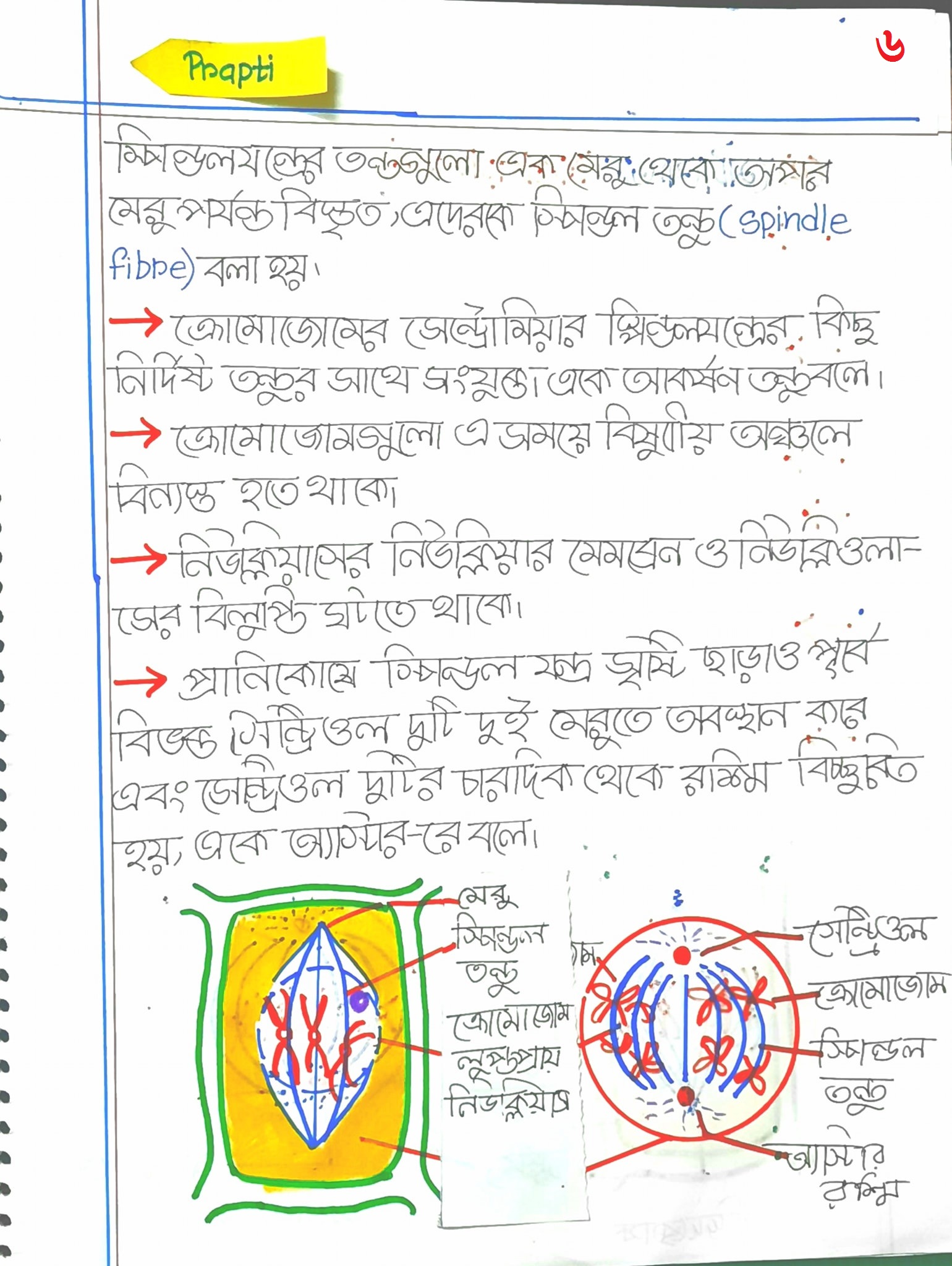 SSC Biology Chapter 3 Hand Note || ৯ম ও ১০ম শ্রেণি জীববিজ্ঞান ৩য় অধ্যায়