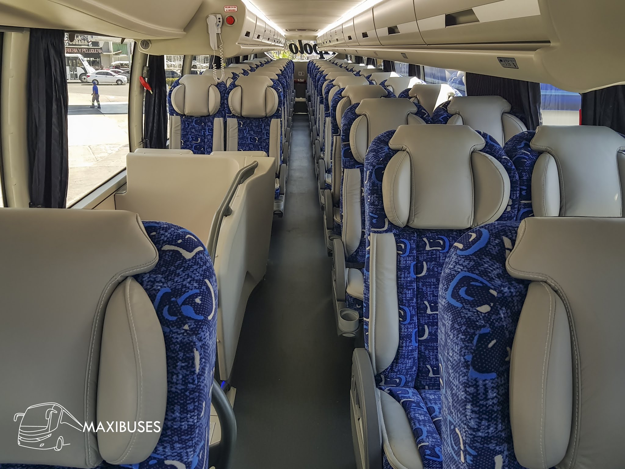 MAXIBUSES: ESPECIAL - APOLO PLATINUM
