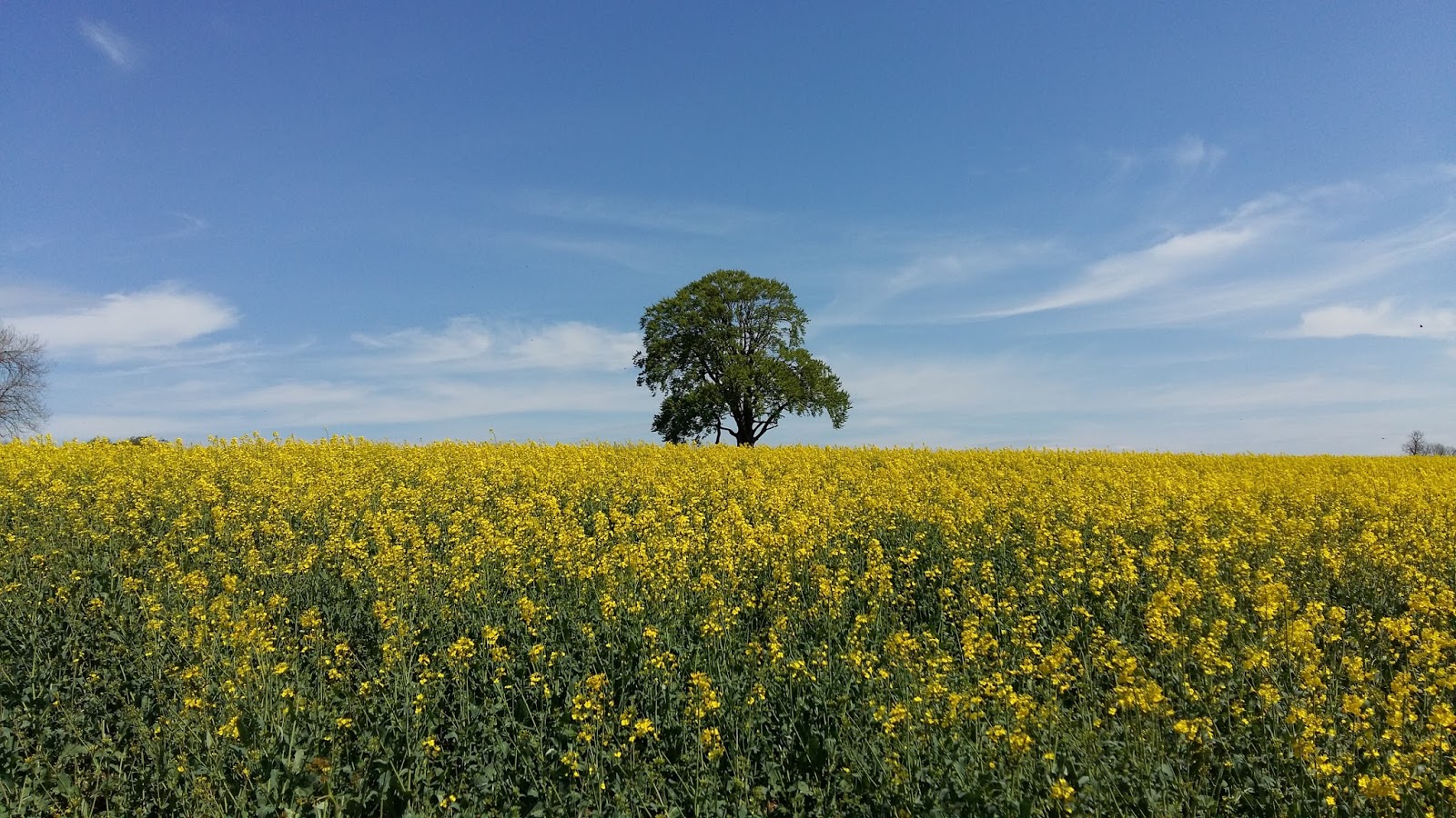 Cotswolds Travel: Idyllic Circular Walk Around Turkdean, Hazelton, and ...