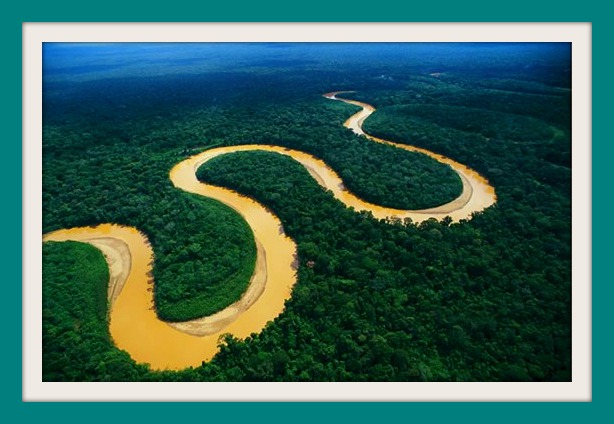 26 DE JUNIO: DIA INTERNACIONAL DE LOS BOSQUES TROPICALES - RALEY ...