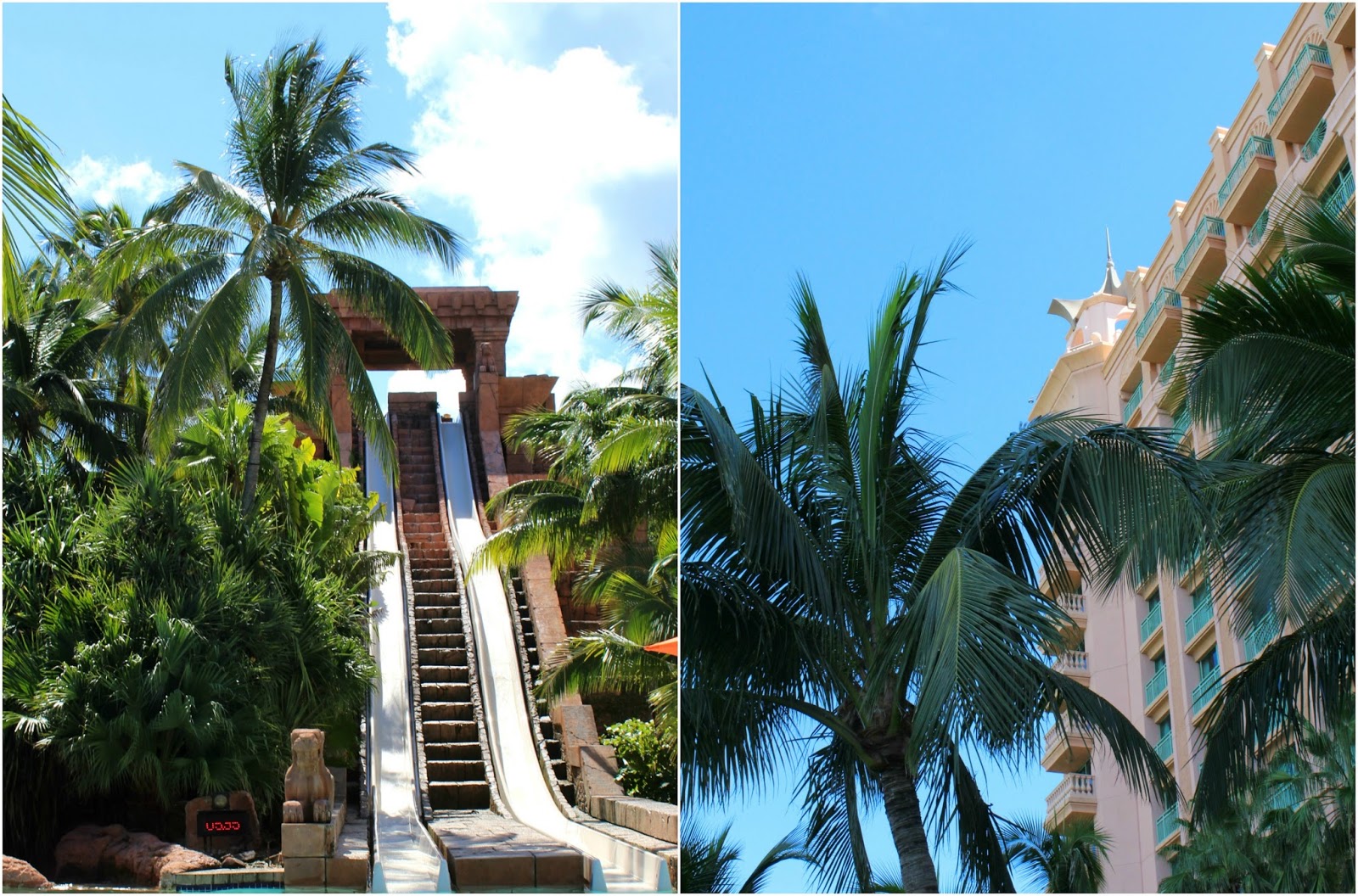 Atlantis and Aquaventure Port Excursion | Caravan Sonnet