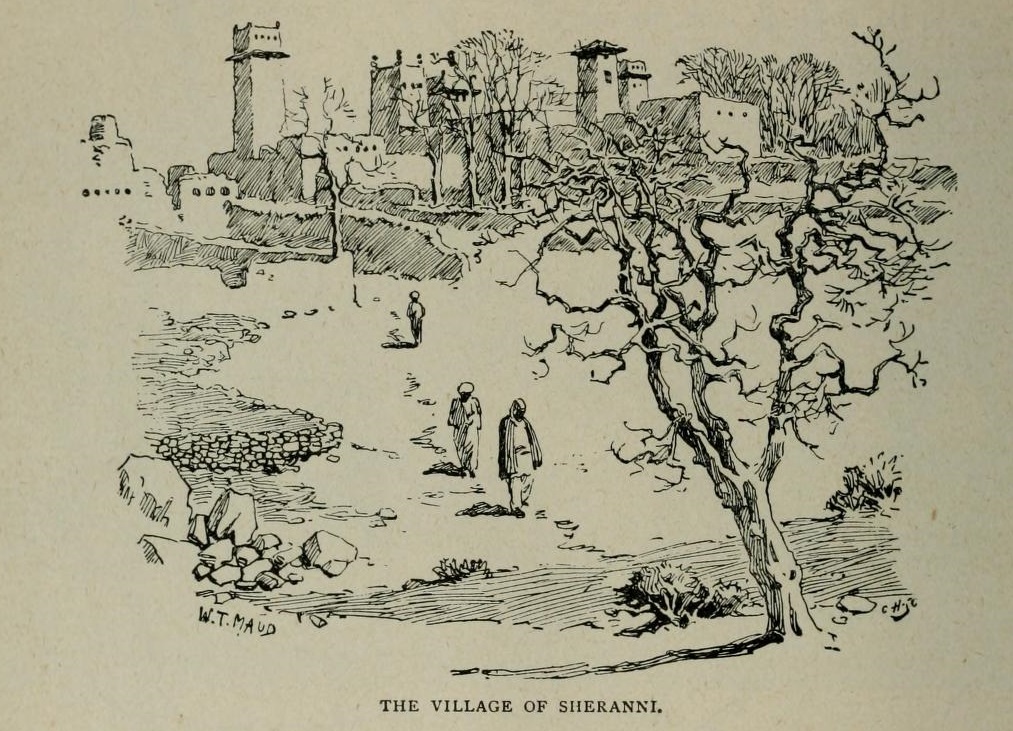 Sherani tribe | History of Pashtuns