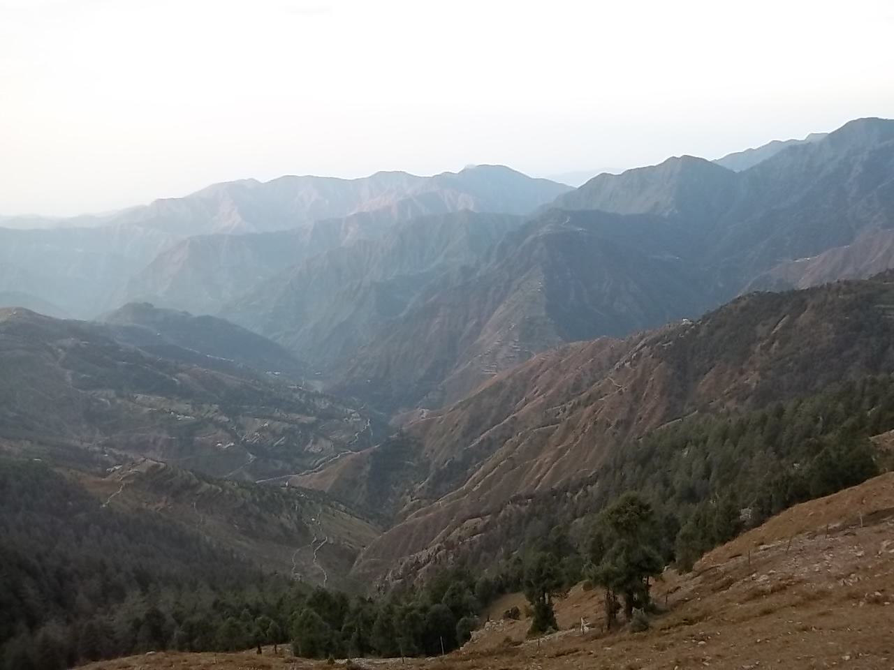 Doc's world: beauty of shillai