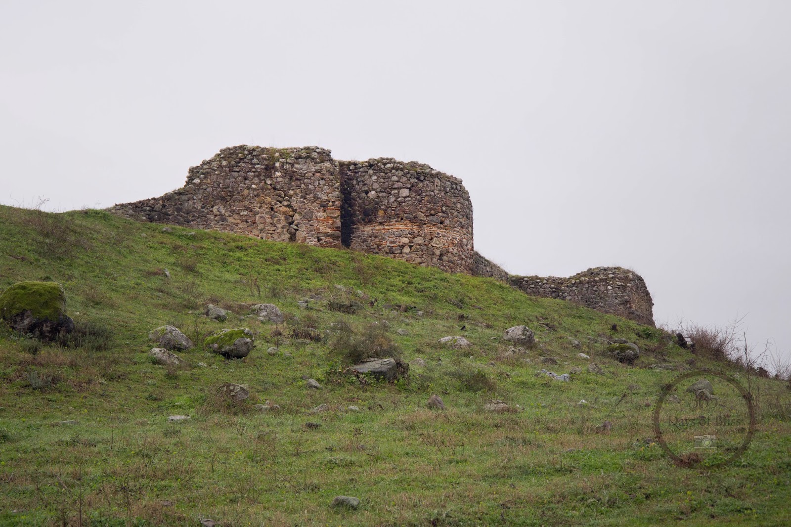 The dreamland of Almopia | Days of bliss