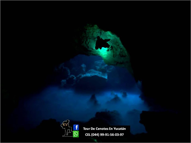 LOS CENOTES DE YUCATAN: EL FENOMENO DE LA HALOCLINA