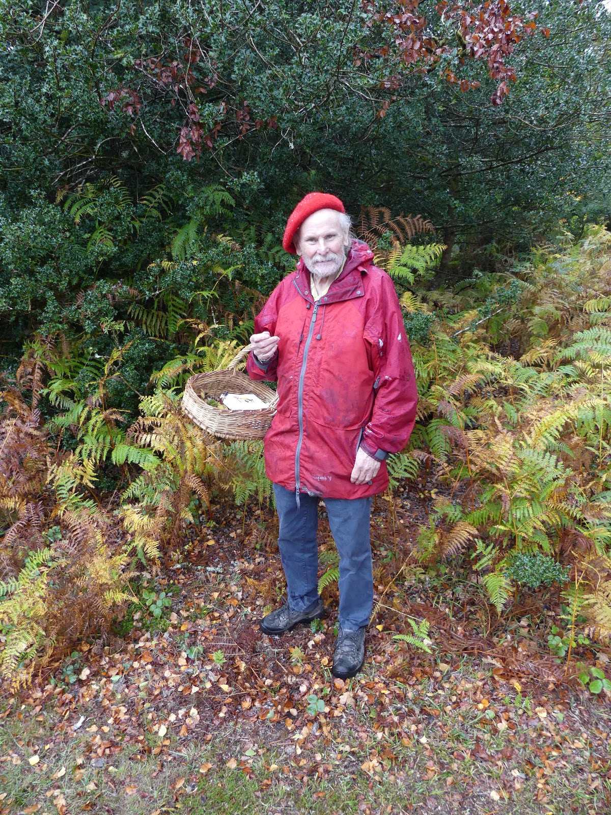 The Outdoor Traditionalist : Roger Phillips Mushroom Foray