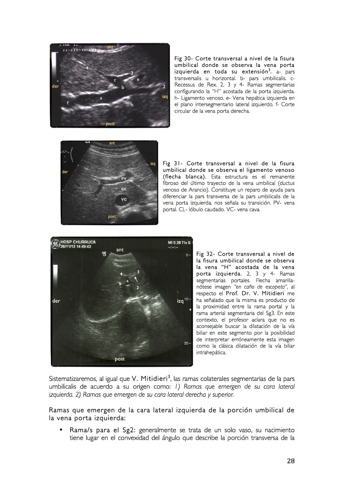 Cuadernos de Anatomía Quirúrgica: Anatomía ecográfica de las ramas ...