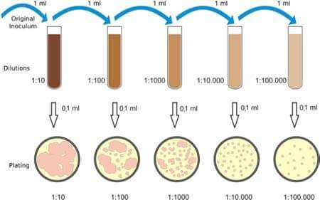 ¿Que sons las diluciones en el laboratorio clínico?