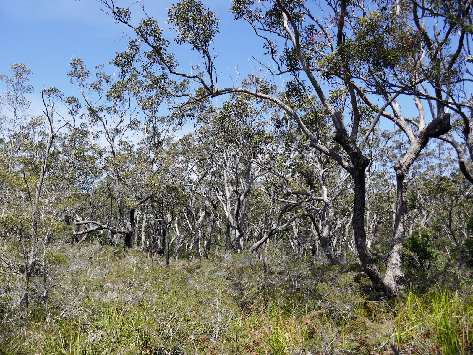 All The Gear But No Idea: Beecroft Head, Gosangs Tunnel & Mermaids Inlet