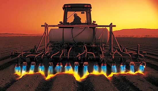 Lazy Gardening: Weed Control Methods: Flame Throwers and Weed Burners