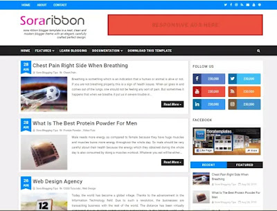 10+ Best SEO Friendly Blogger Templates