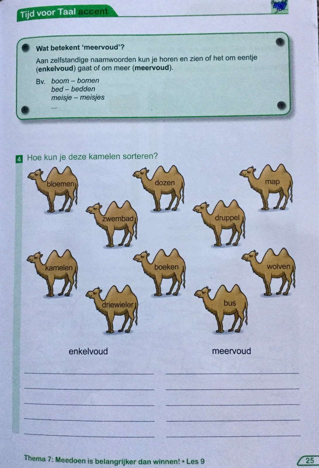 De Panda klas 2.... meester Mark : 7mei: Taal: enkelvoud /meervoud ...