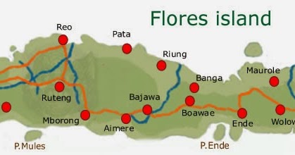 GEOLOGI : GEOLOGI FLORES ISLAND