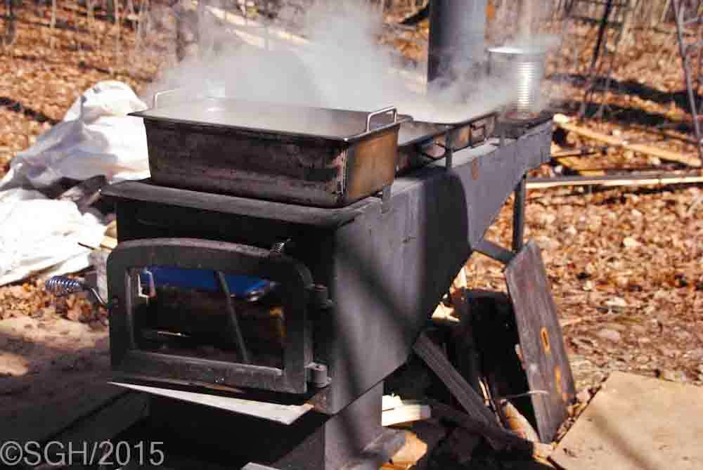 Seasons in the Valley + Furry Gnome's Adventures: More Maple Syrup