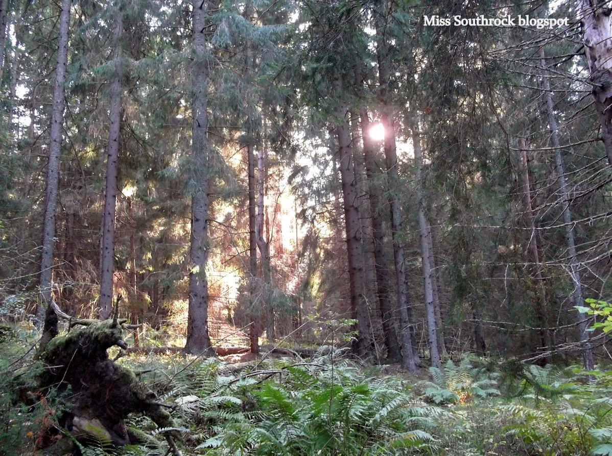 Miss Southrock: Vandring: Stora Slottsrundan