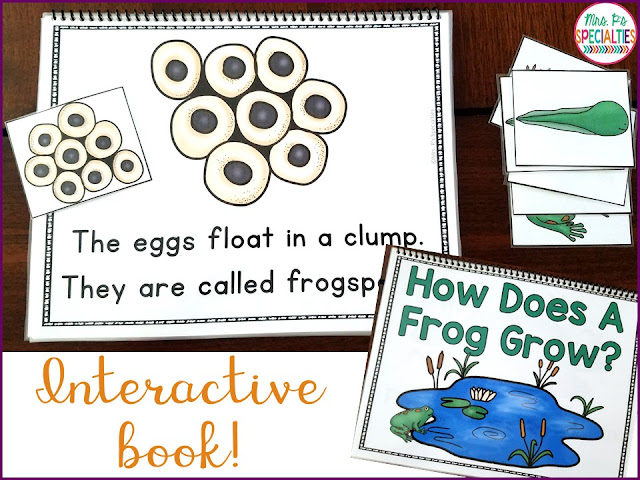 Use Hands On Activities To Teach Students About The Frog Life Cycle ...