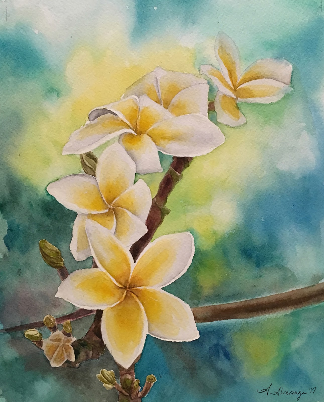 Floral Watercolor Paintings Angela Alvarenga floral-watercolor-paintings-angela-alvarenga