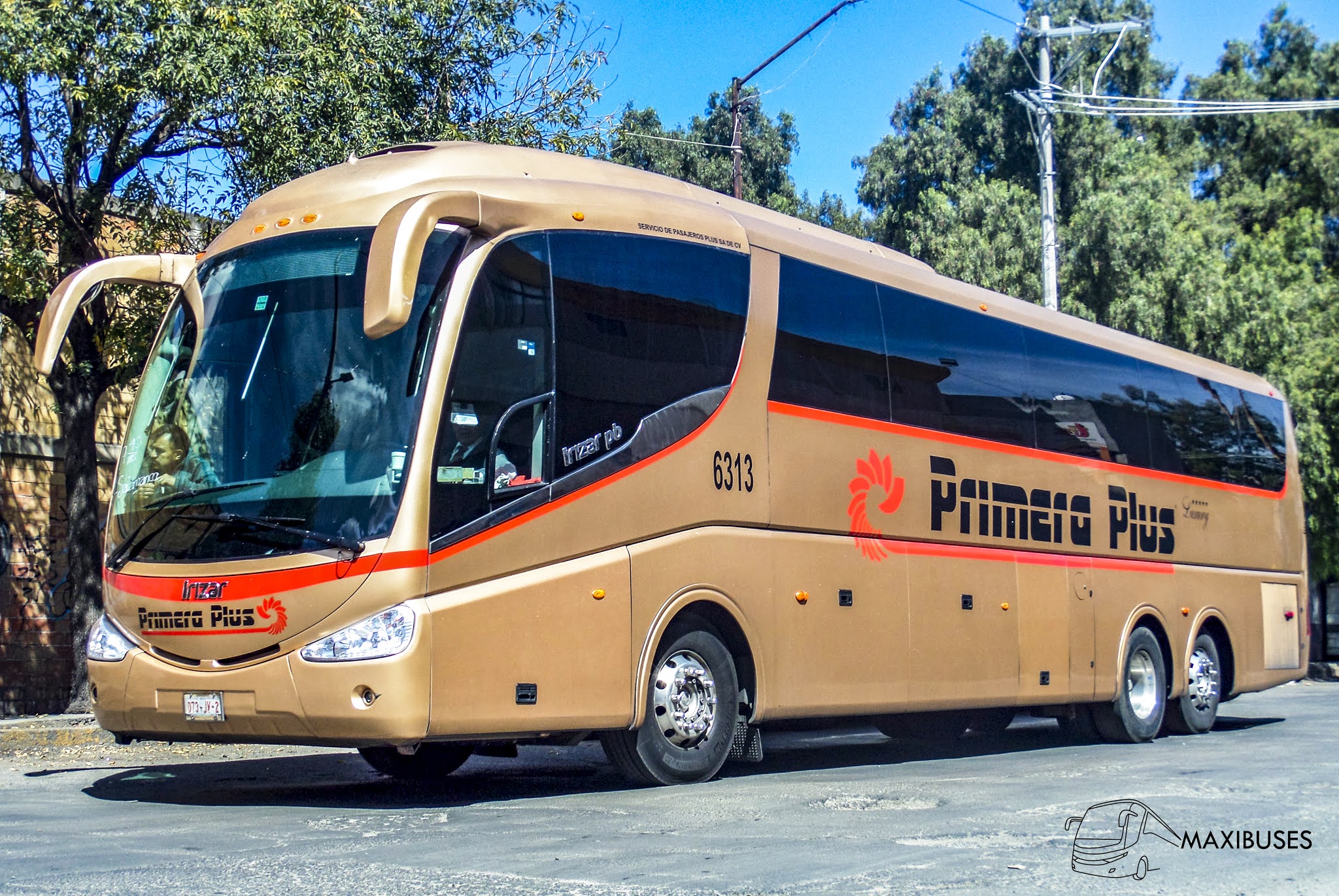 MAXIBUSES: PRIMERA PLUS