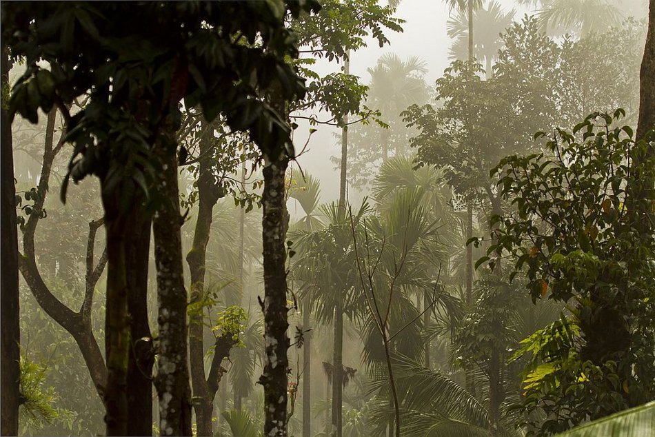 Photo of the day: Agumbe - Treasure of the Western Ghats
