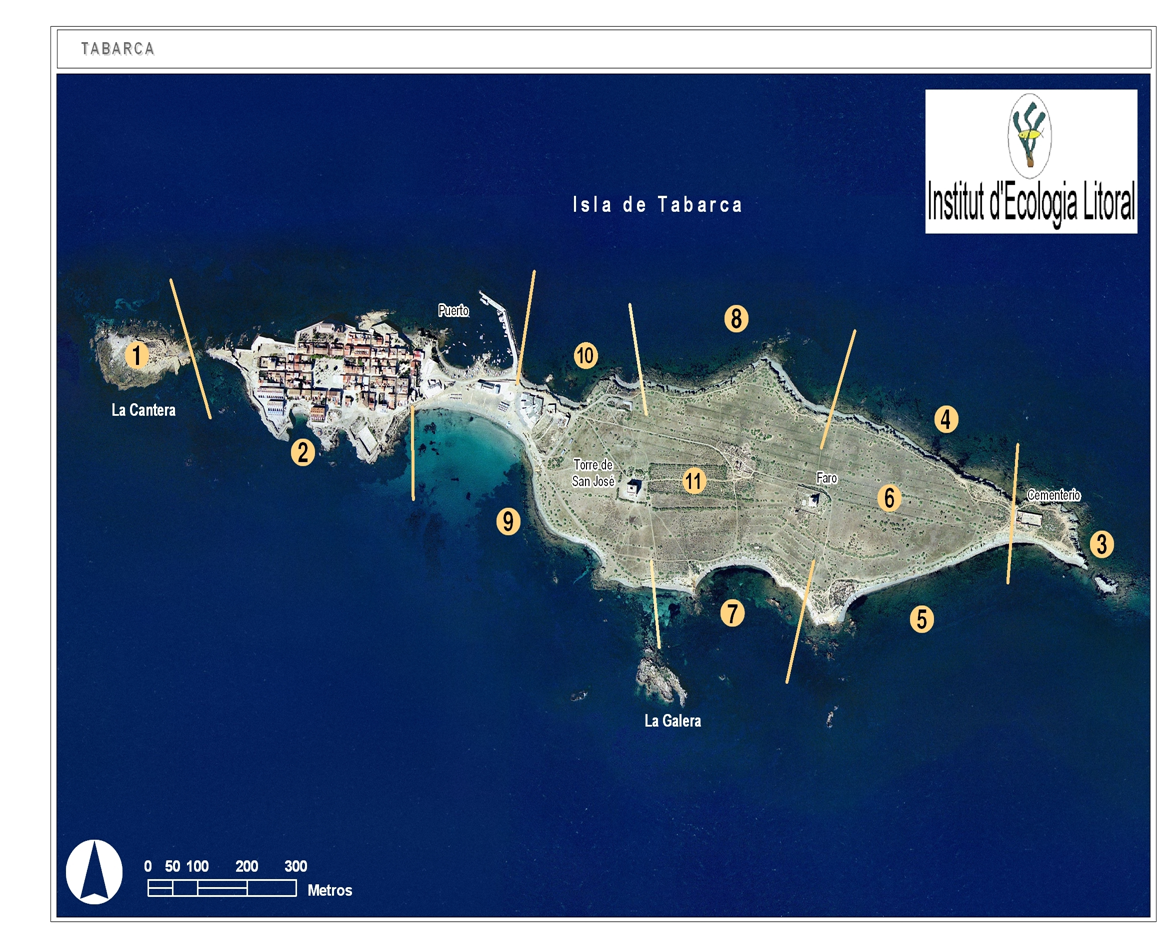 UC Berkeley Architecture Spain Summer Studio: TABARCA