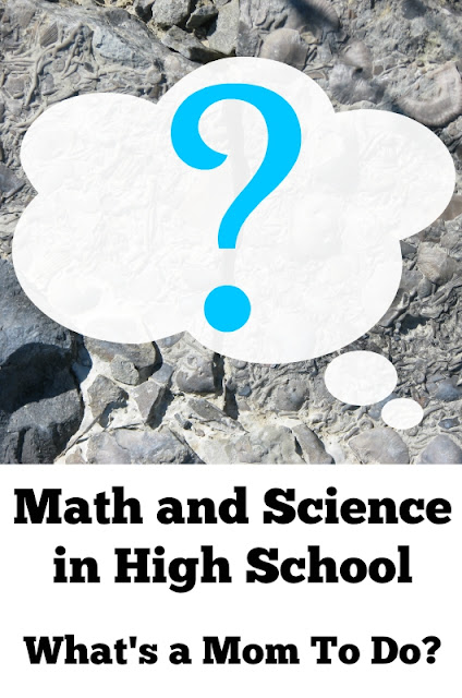 Home Sweet Life: Math and Science in High School ~ What's a Mom To Do?