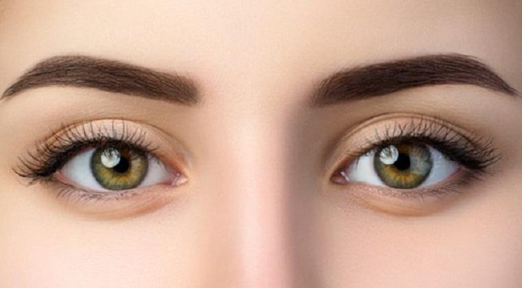 Mengapa Bentuk Sepasang Alis Kita Tidak Simetris? | Belajar Sampai Mati