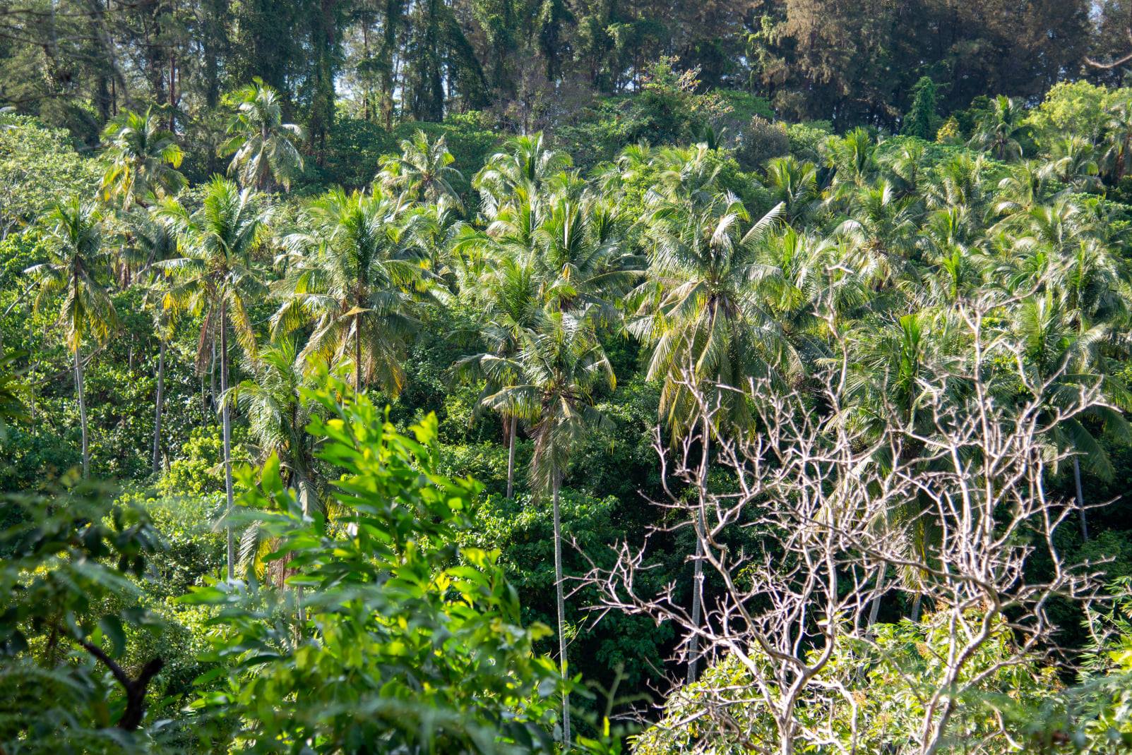 Merinding Trail Jalan Baru