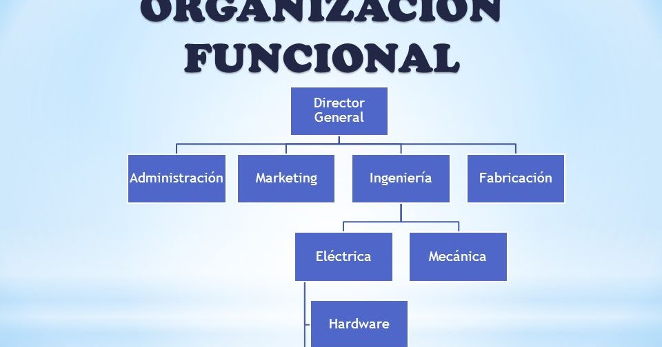 Tipos de Organización: ORGANIZACIÓN FUNCIONAL