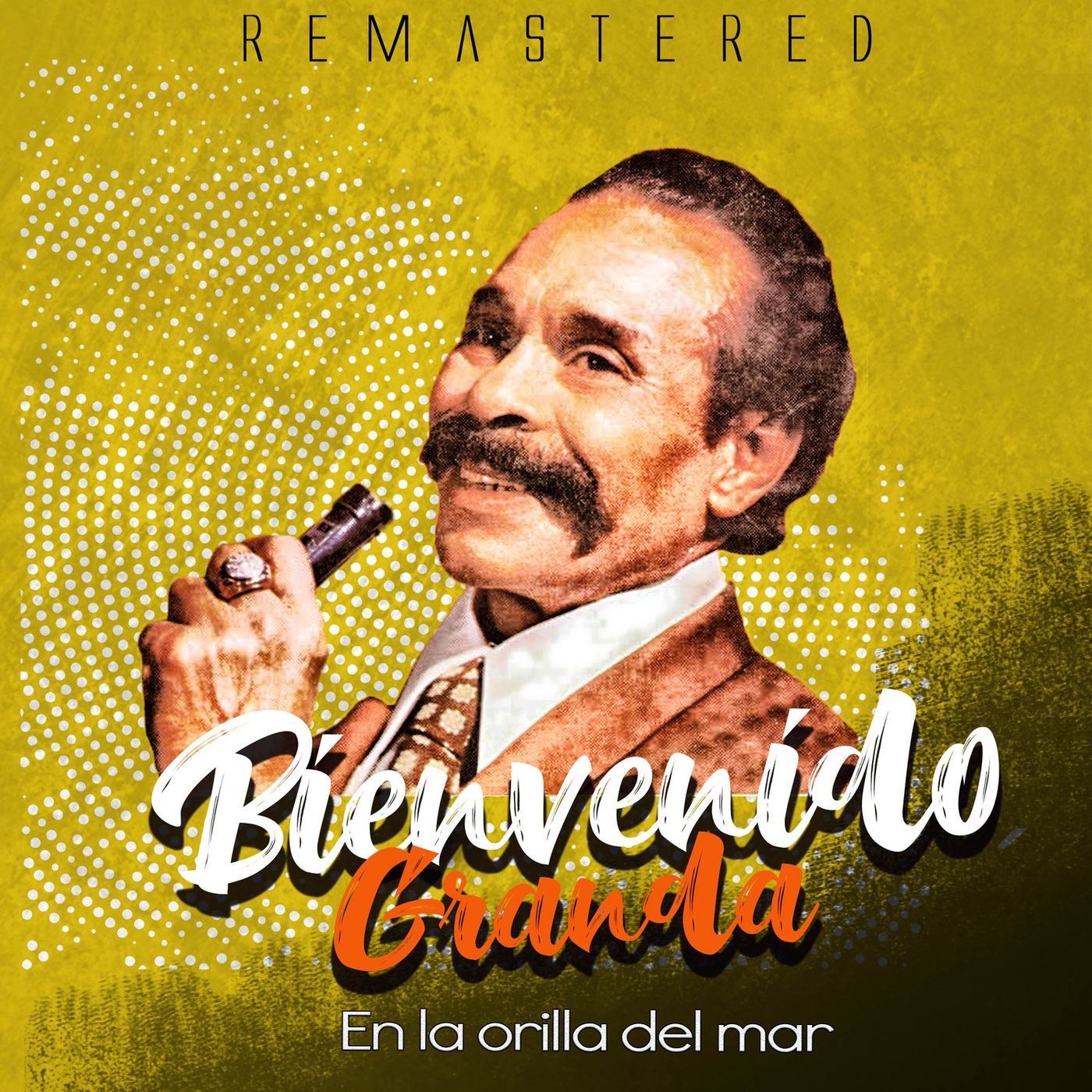 Mis discografias : Discografia Bienvenido Granda