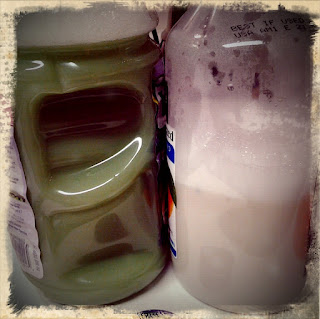 The Pure Gal: DIY Project: Homemade Body Wash