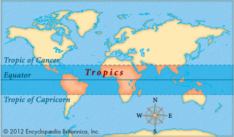 Tropic of Cancer, Tropic of Capricorn and Equator passes through which ...