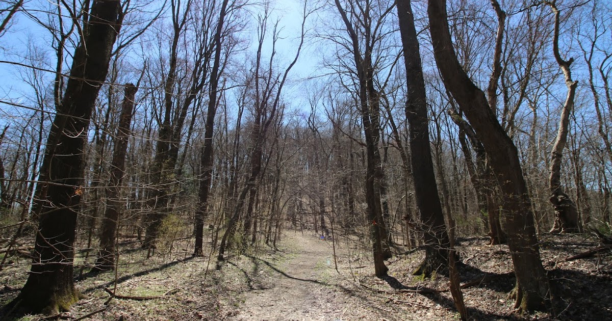 Otto & Magdalene Ackermann Reserve: A Waterfall, Hikes, Forests ...