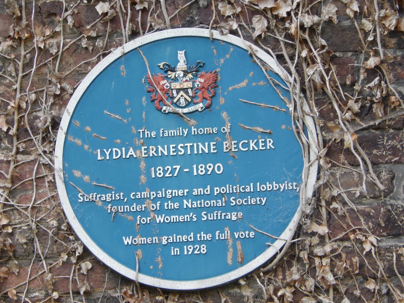 Fighting Talk by Mark Metcalf : August 2015