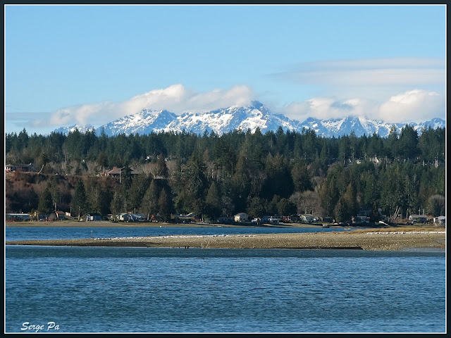 Loving Washington State: Puget Sound Scene — North Bay