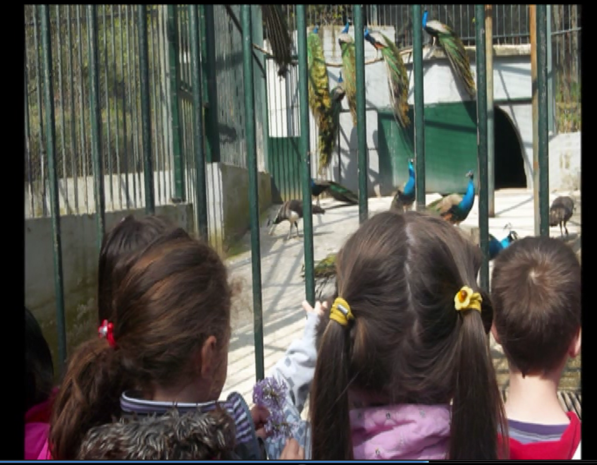 ΝΗΠΙΑΓΩΓΕΙΟ ΜΠΑΡΑΣ ΤΡΙΚΑΛΩΝ: ΚΑΙΝΟΤΟΜΟ ΠΡΟΓΡΑΜΜΑ ΑΓΩΓΗΣ ΥΓΕΙΑΣ: "ΚΑΤΙ ...