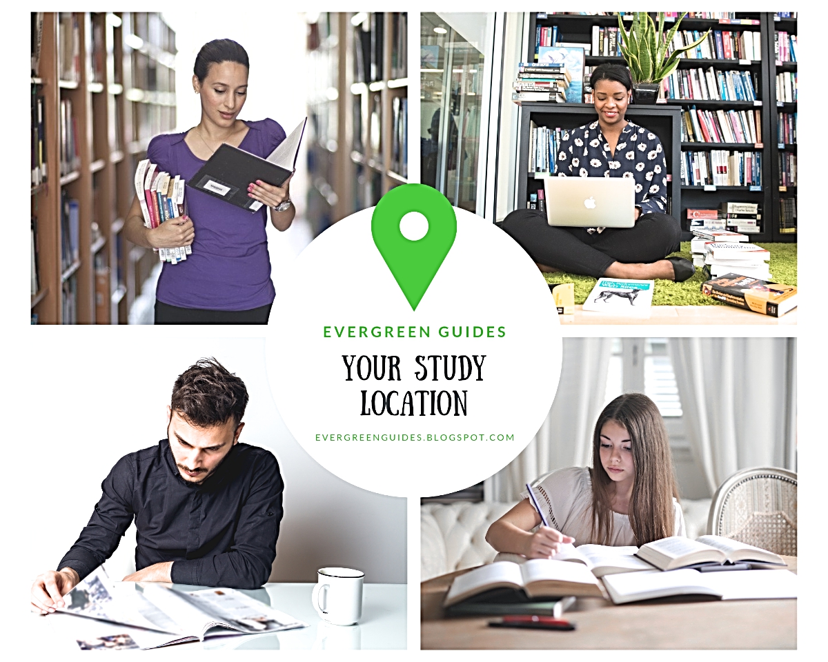 How To Know Your Learning Style And Make The Most Out Of It