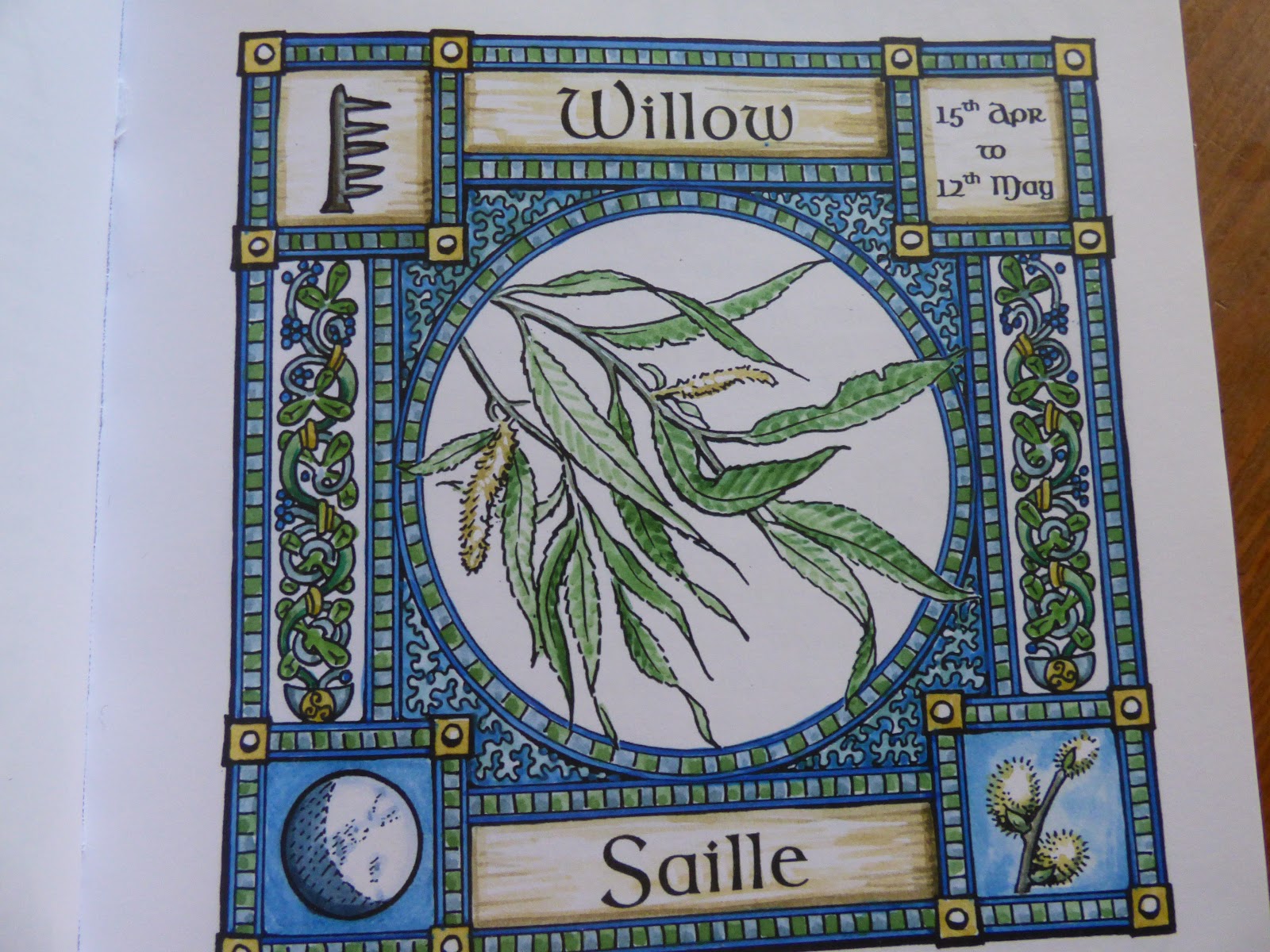 My Quiet Life in Suffolk: Willow Trees Leading to Memories