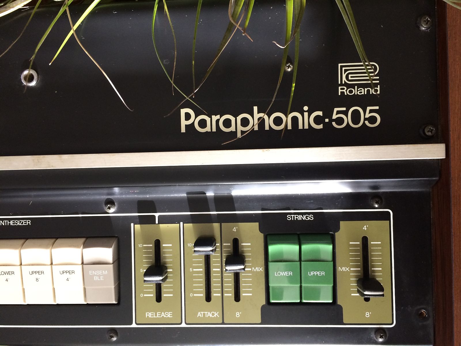 MATRIXSYNTH: Roland RS-505 Paraphonic SN 730150