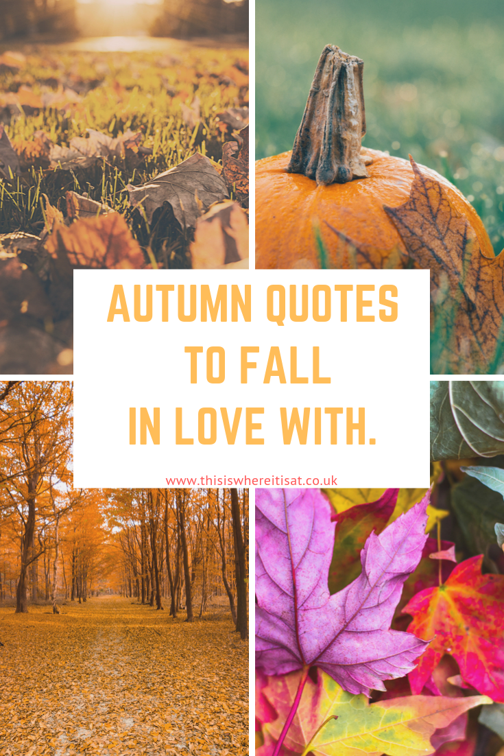 Autumn quotes to fall in love with. ~ THIS IS WHERE IT IS AT